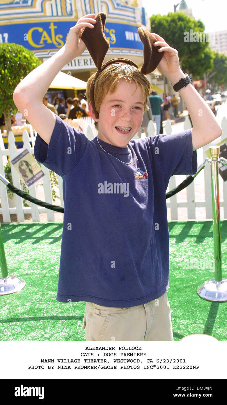 June 23, 2001 - ALEXANDER POLLOCK.CATS + DOGS PREMIERE.MANN VILLAGE ...