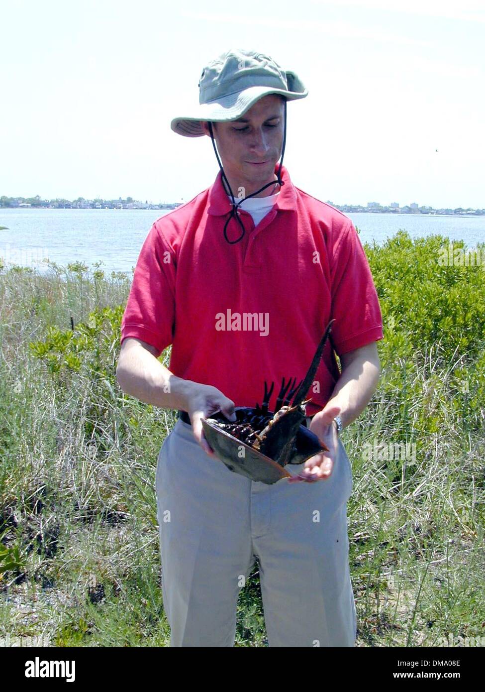 May 31, 2002 - Queens, New York, USA - 5/31/02 Queens, NY Congressman ...