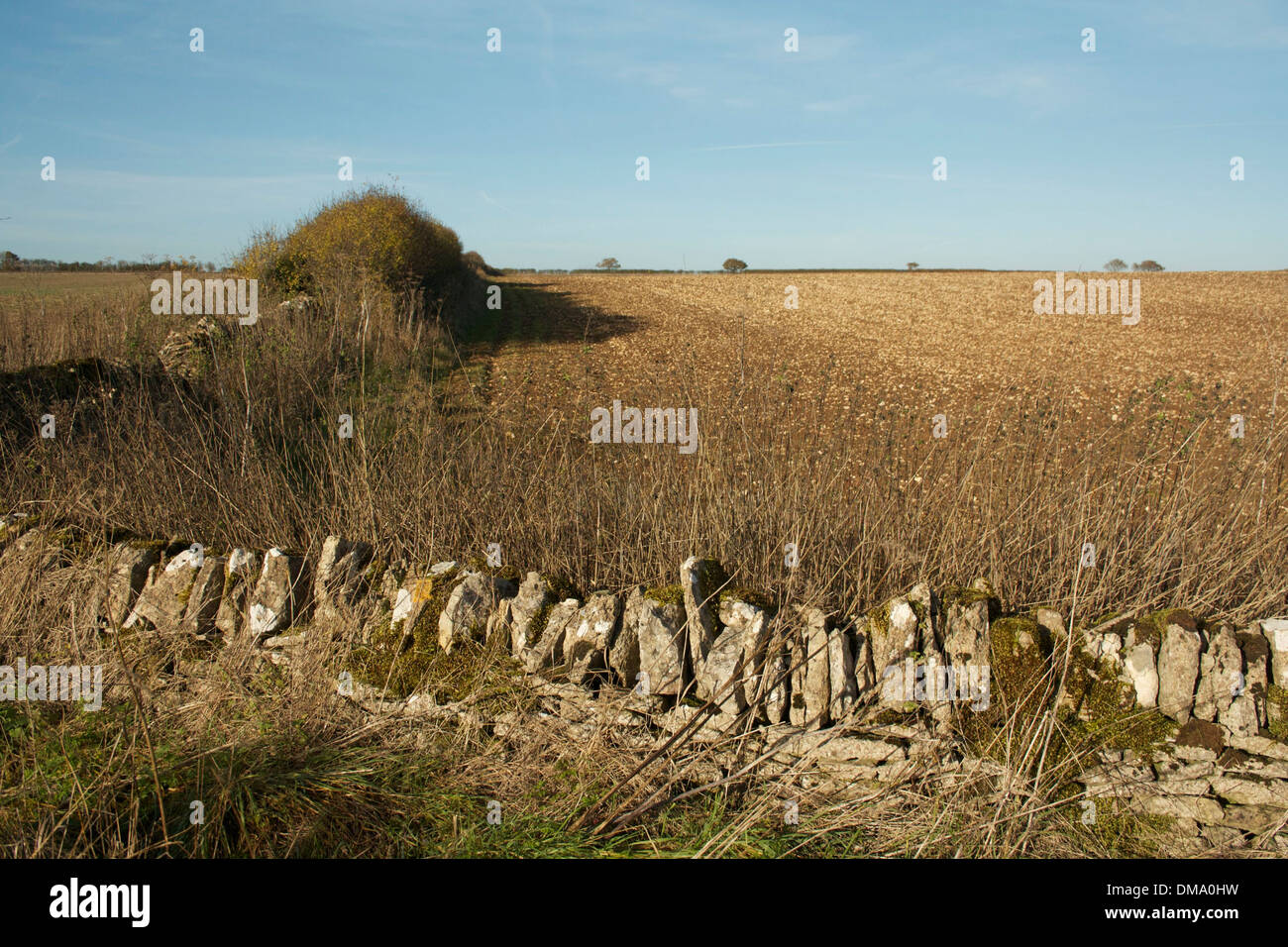 Wall and field, Oxfordshire, UK Stock Photo - Alamy