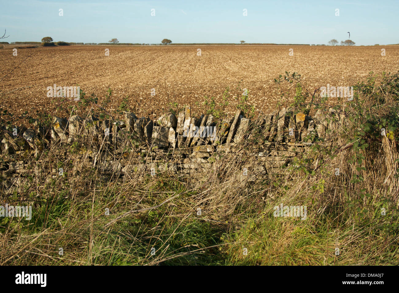 Tractor ploughing dry field hi-res stock photography and images - Alamy