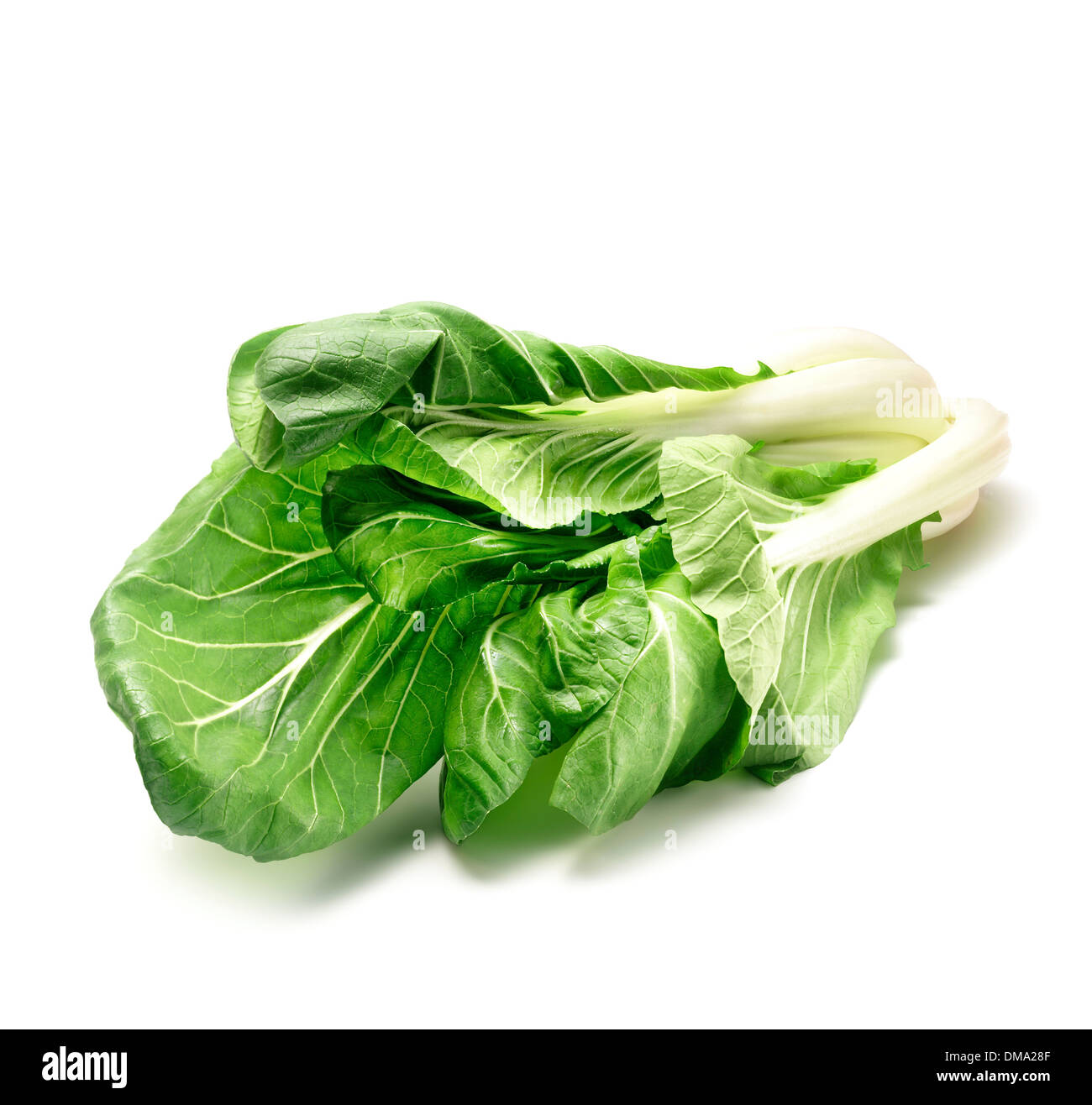 pok choi isolated on a white background with a soft shadow Stock Photo ...