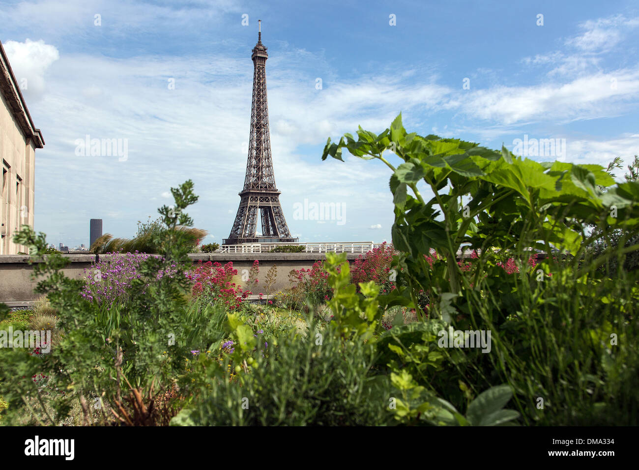 VEGETABLE GARDEN, GARDEN WITH VIEW OF THE EIFFEL TOWER, ROOF TERRACE OF ...