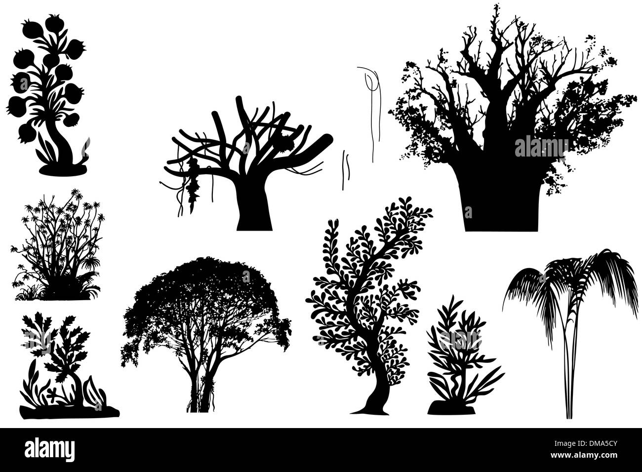 trees of Africa - vector Stock Vector Image & Art - Alamy