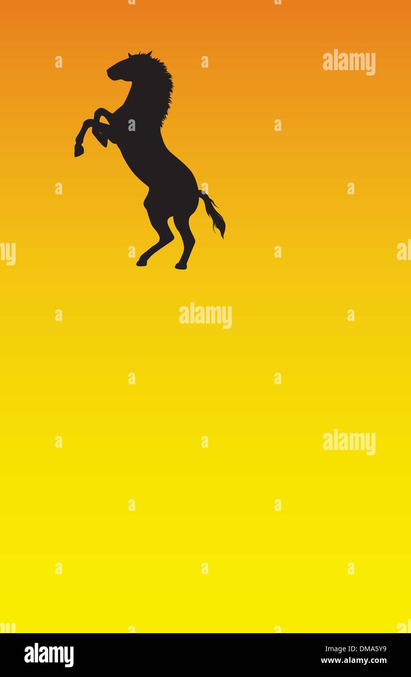 Horse Rearing In Sunset