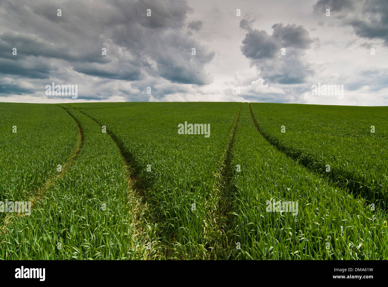 Choosing path hi-res stock photography and images - Alamy