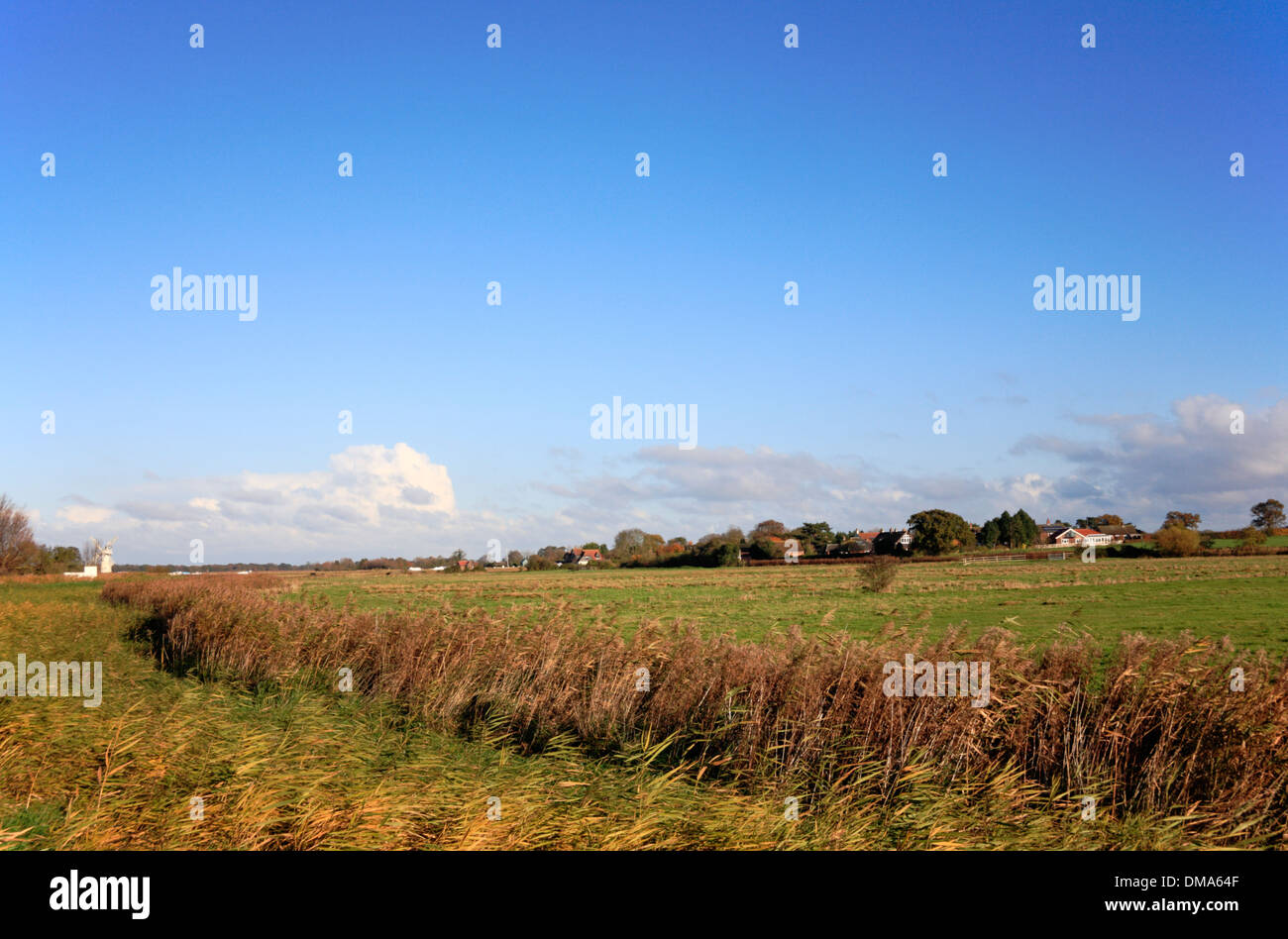 A landscape on the Norfolk Broads from the banks of the River Thurne ...