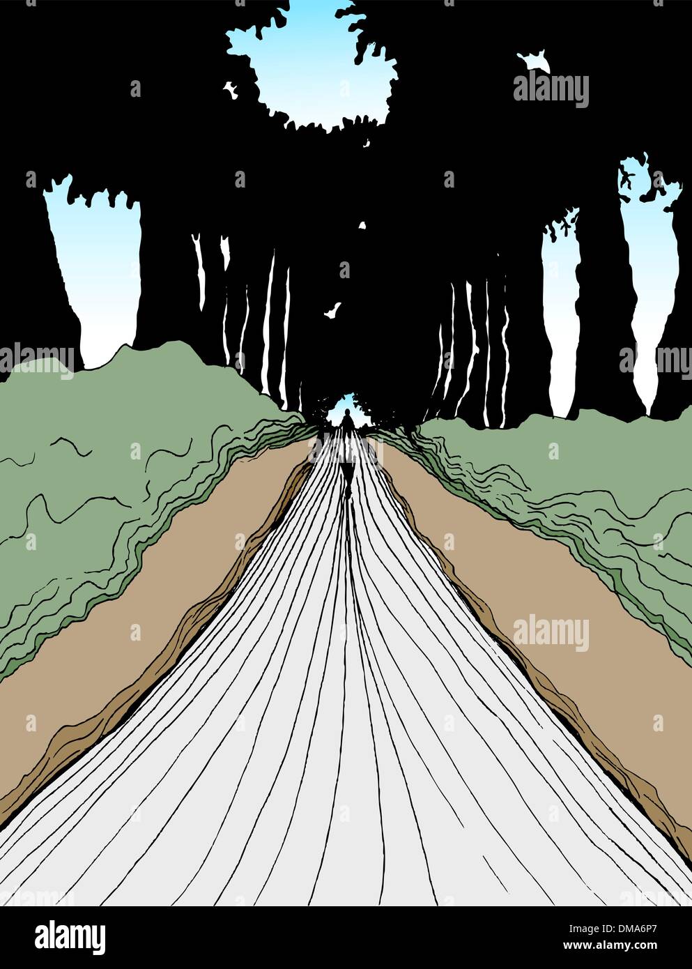 Walking path in forest Stock Vector Images - Alamy