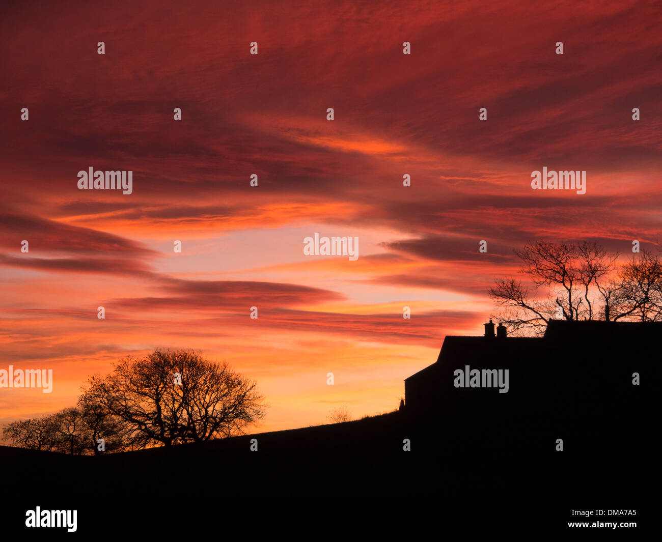 Sunset over trees and house roof Stock Photo - Alamy