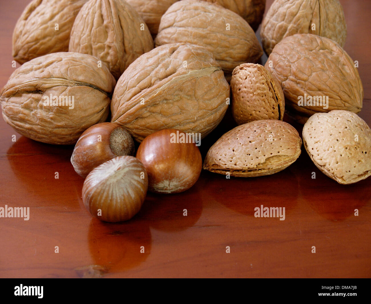 Nutshells hi-res stock photography and images - Alamy