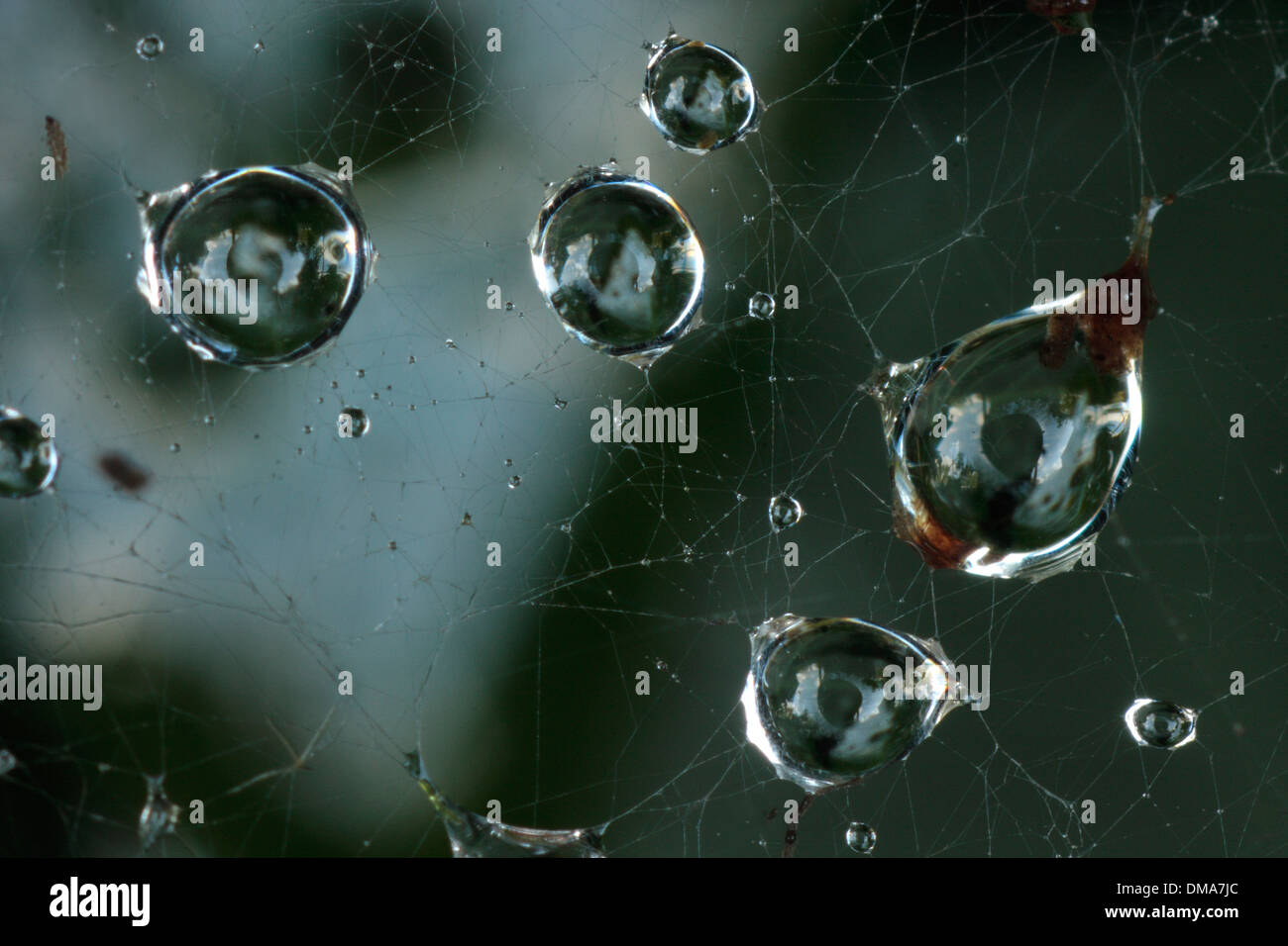 Frost h2o freshwater fresh macro photograph dewdrop hi-res stock ...