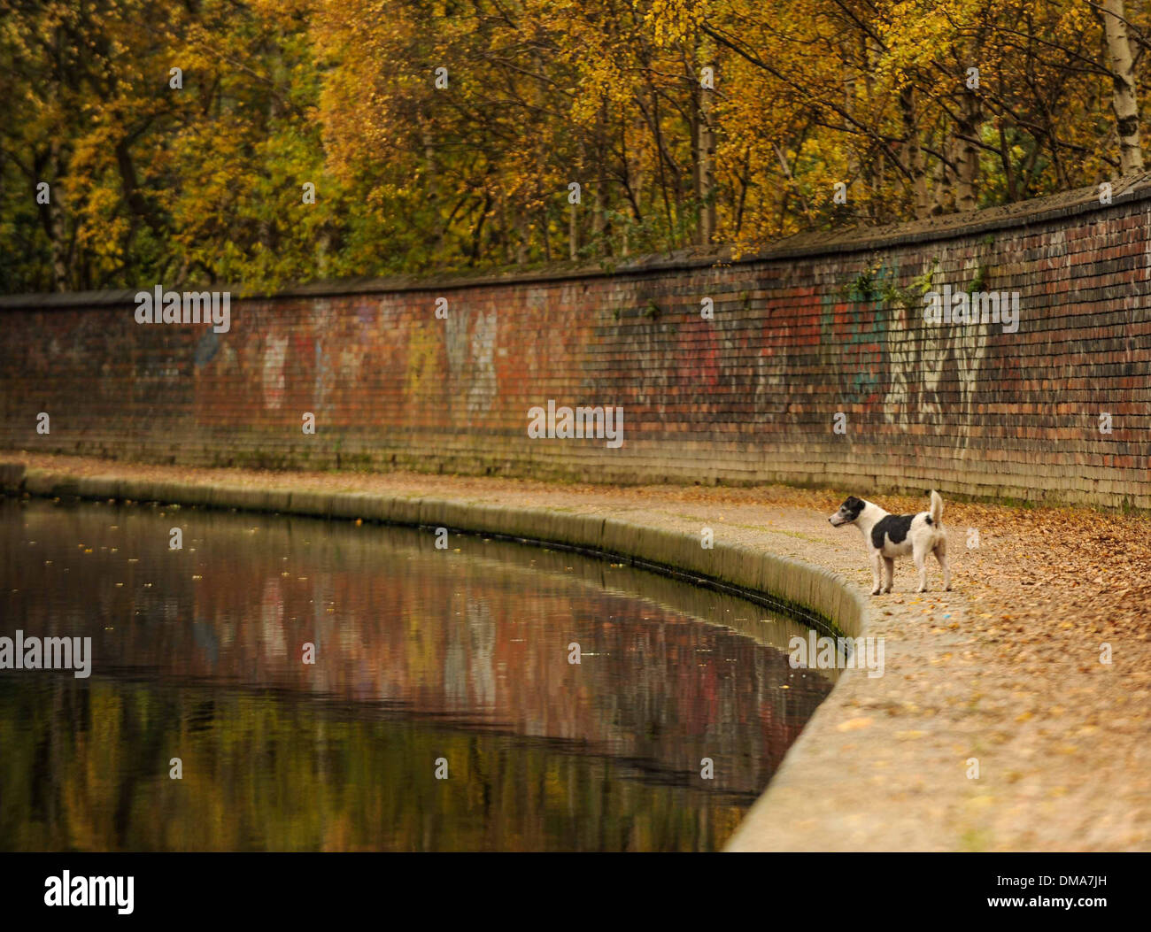 Birmingham weather service hi-res stock photography and images - Alamy