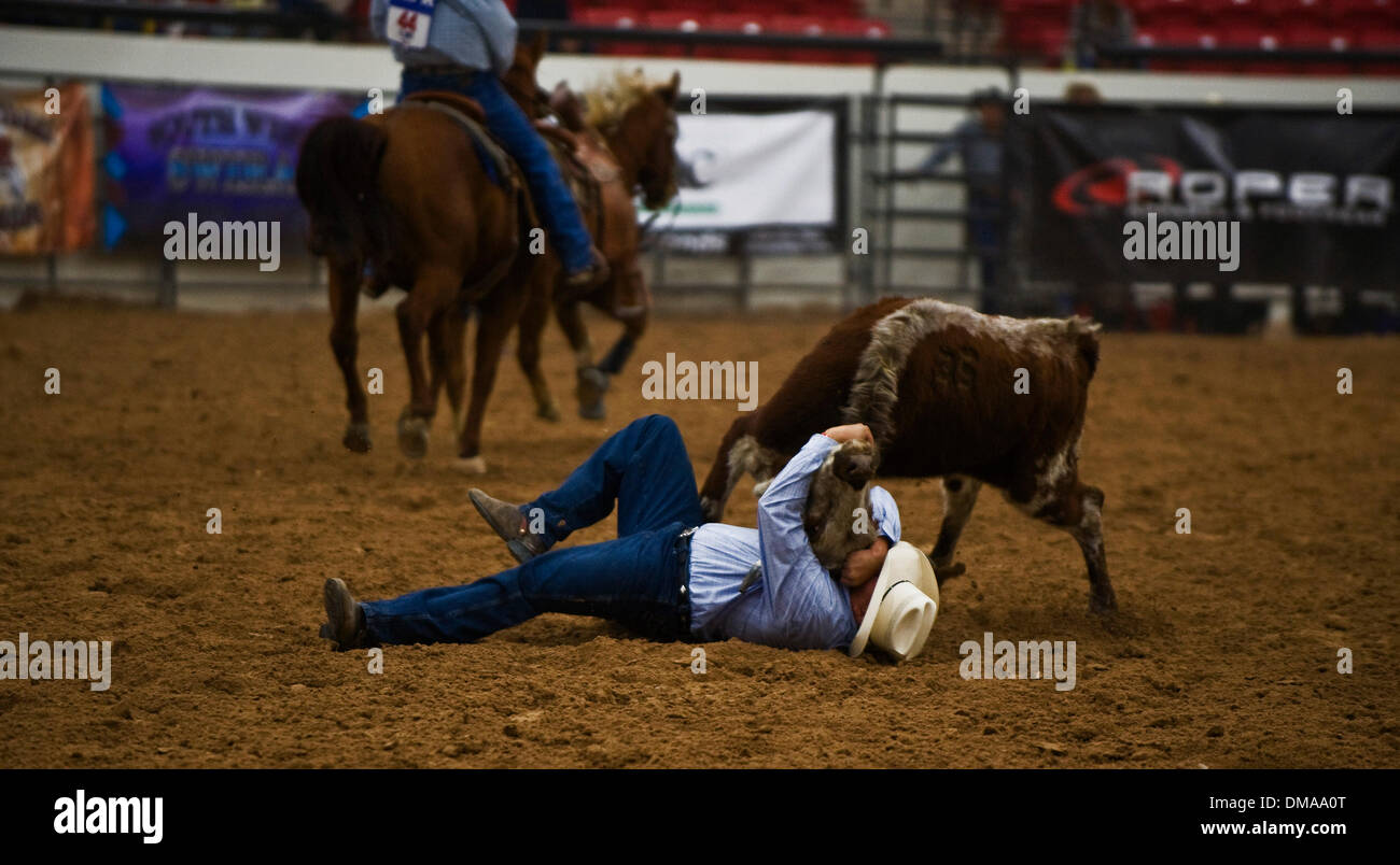 Wrestling titles hi-res stock photography and images - Alamy