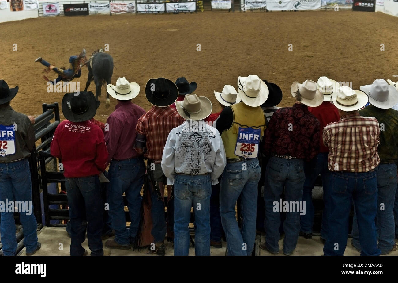 Nov. 13, 2009 - Las Vegas, Nevada, USA - The rough stock area at the ...