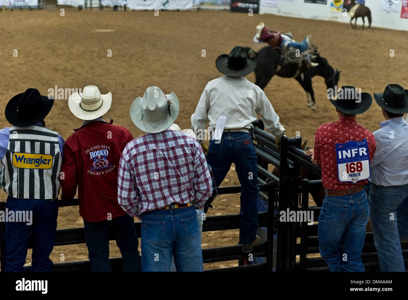 Indian national finals rodeo hi-res stock photography and images - Alamy