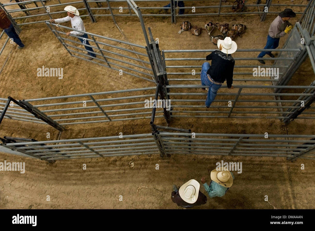 Indian national finals rodeo hi-res stock photography and images - Alamy