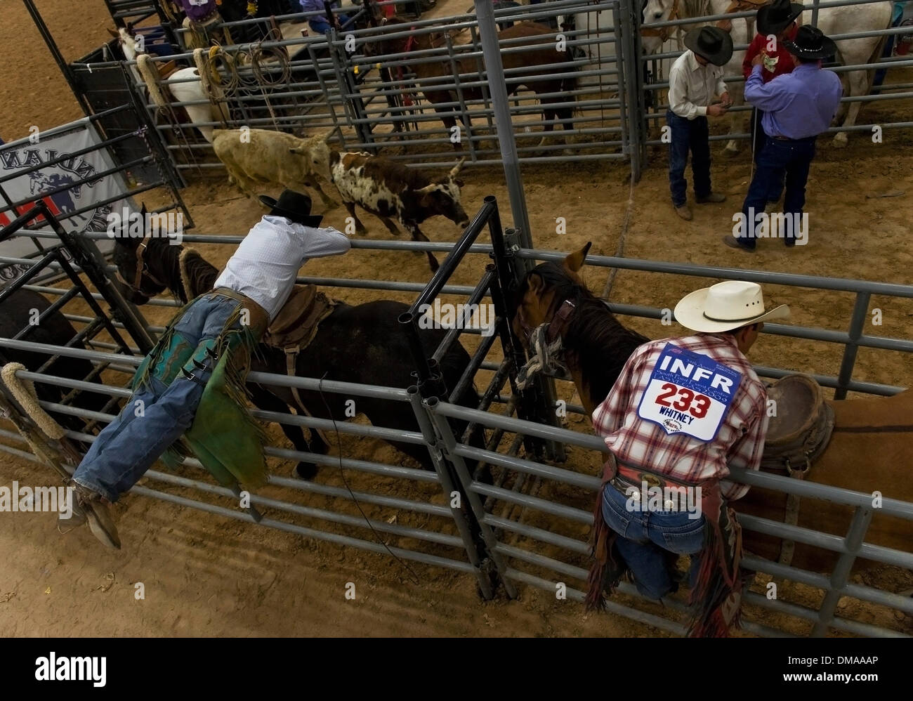 Indian national finals rodeo hi-res stock photography and images - Alamy