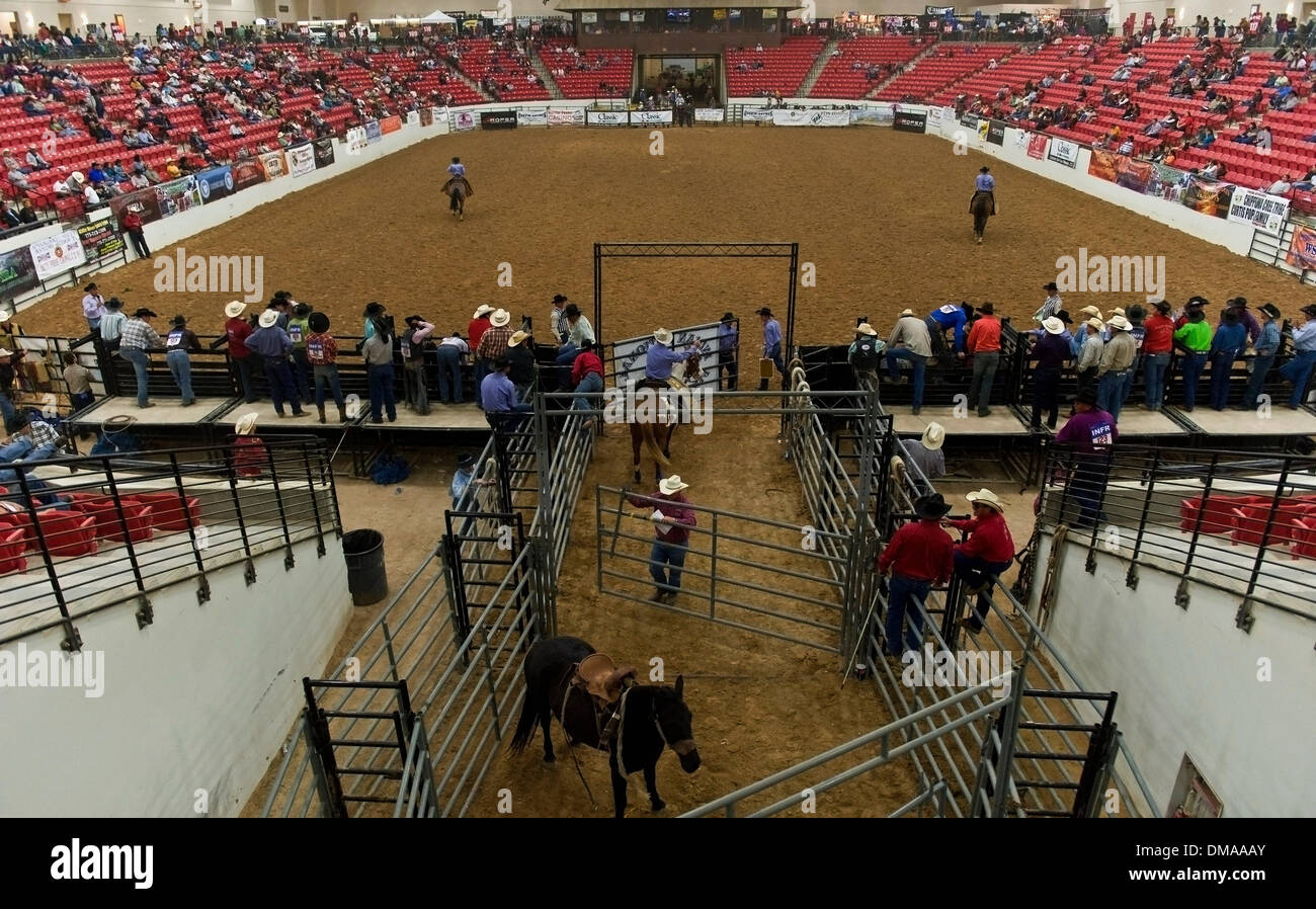 Nov. 13, 2009 - Las Vegas, Nevada, USA - The rough stock area at the ...