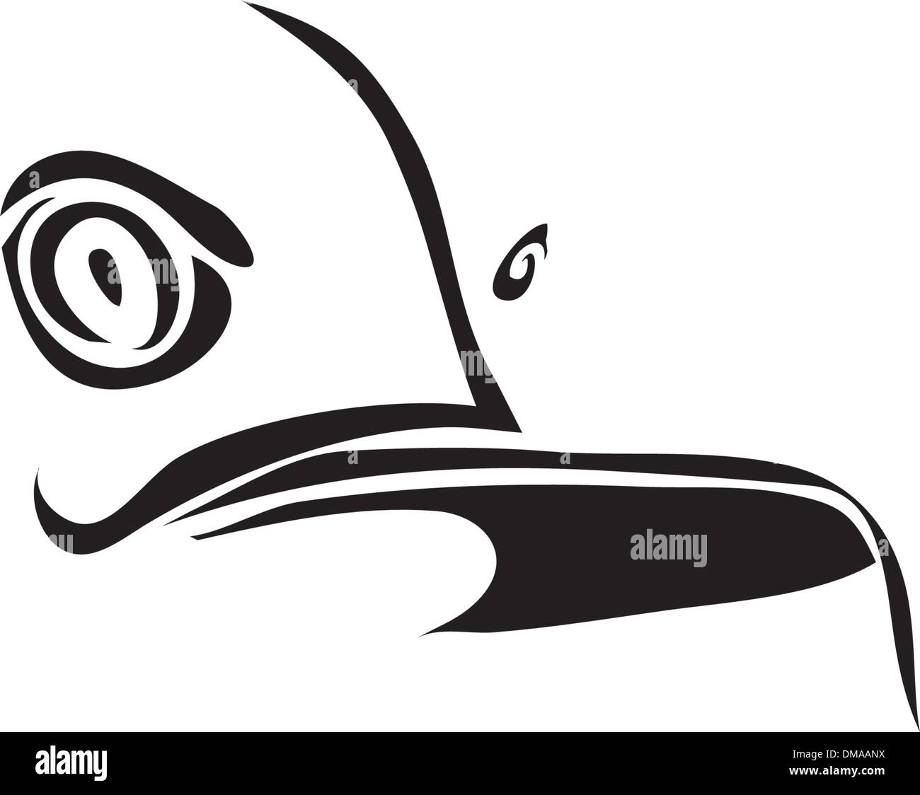 Structure of an eagle Stock Vector Image & Art - Alamy