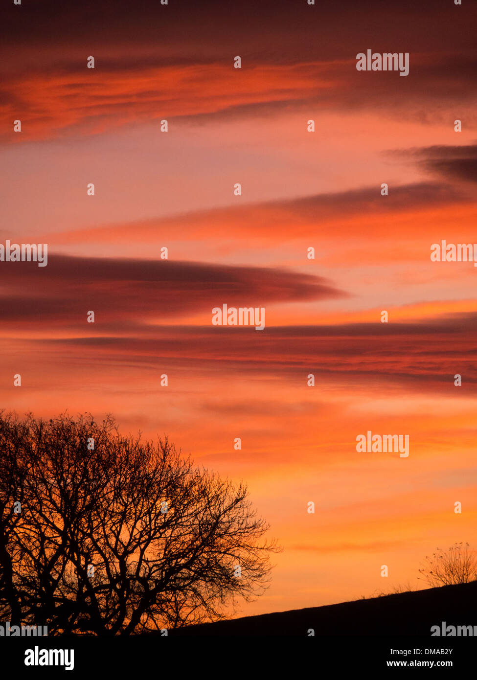 Sunset over trees and house roof Stock Photo - Alamy