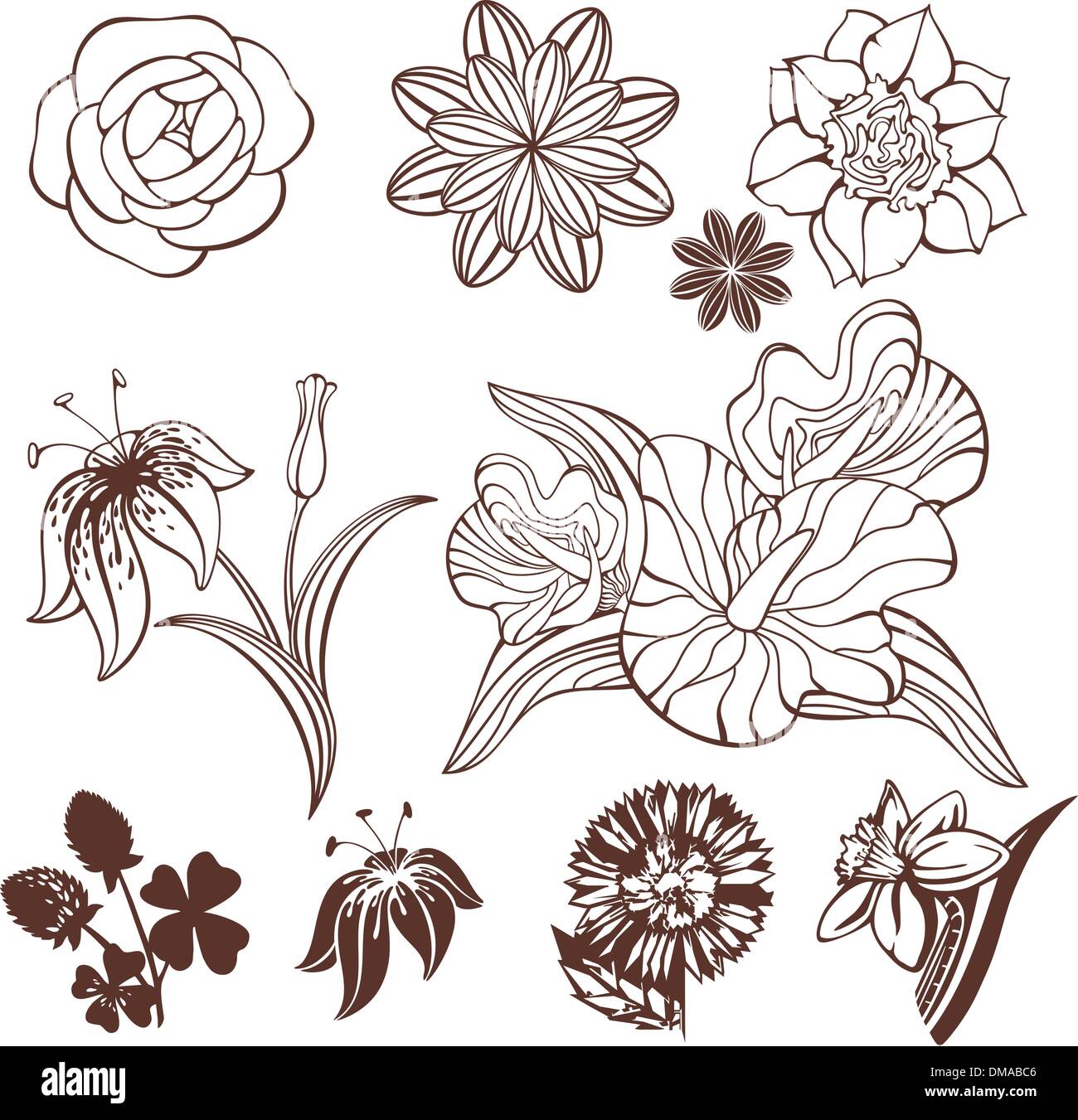 Clover flower vector set Stock Vector Images - Alamy