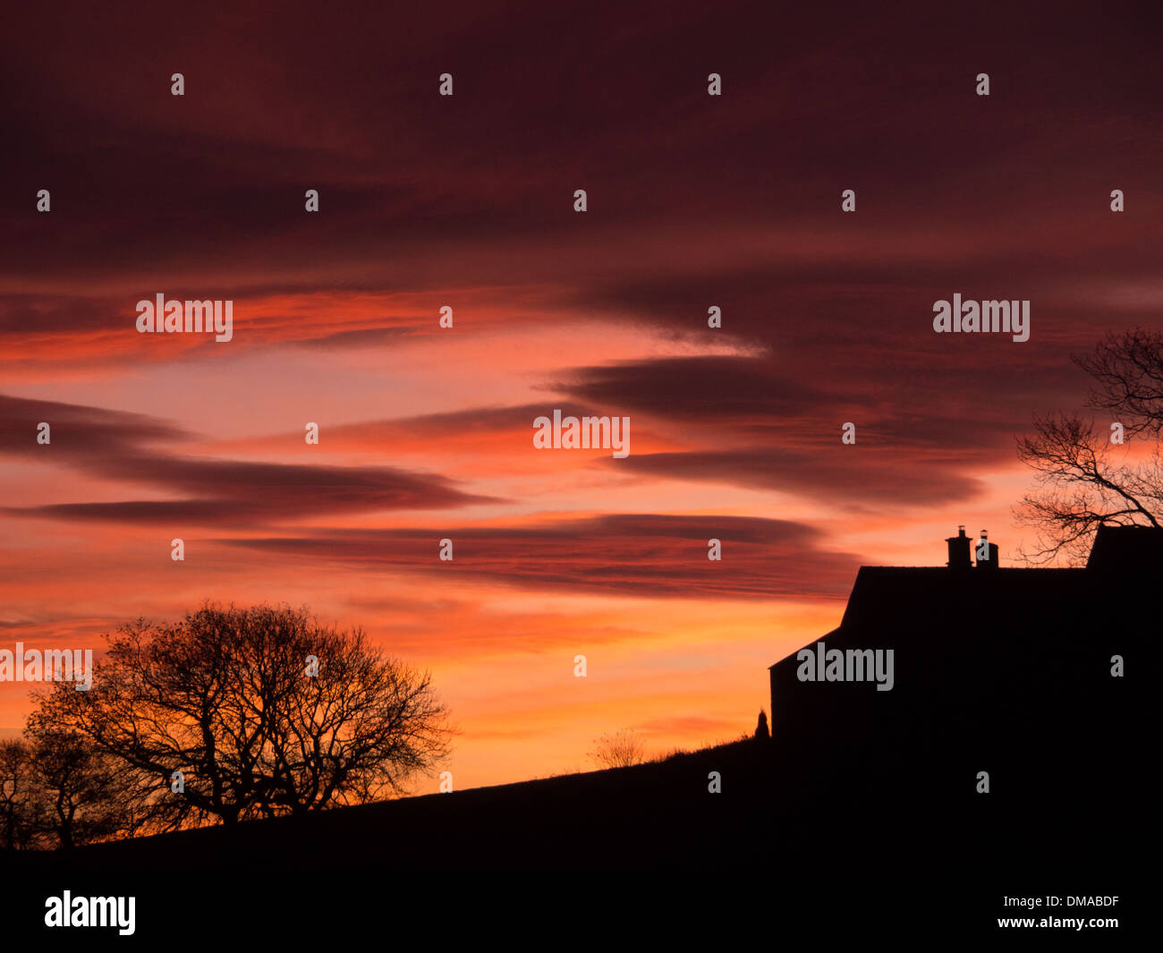 Sunset over trees and house roof Stock Photo - Alamy