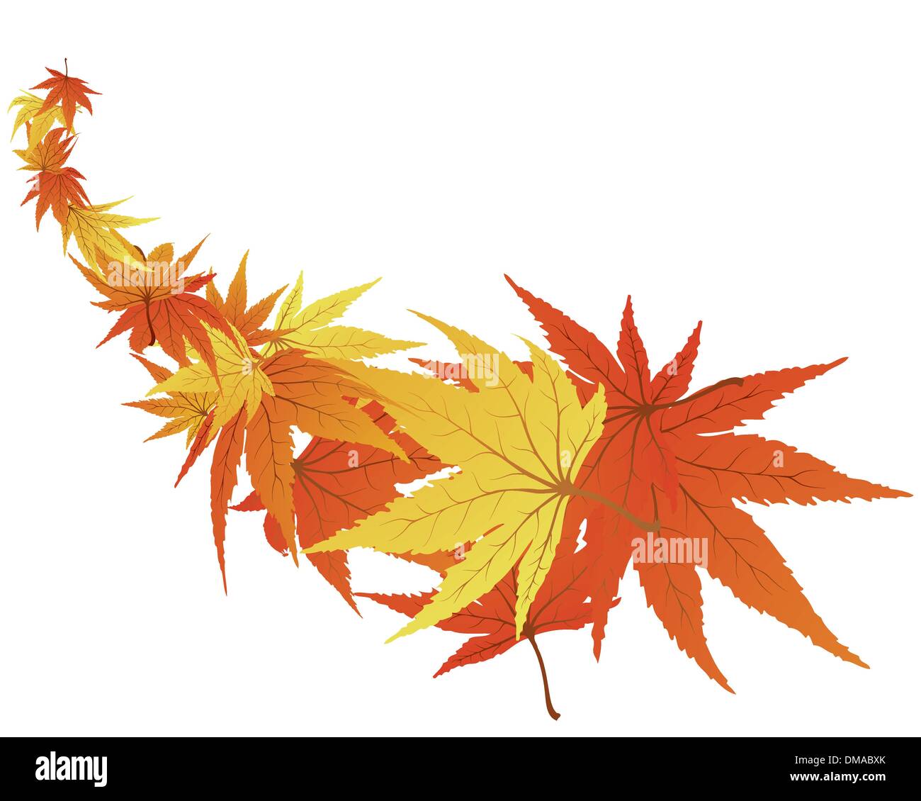 Twisted foliage Cut Out Stock Images & Pictures - Alamy