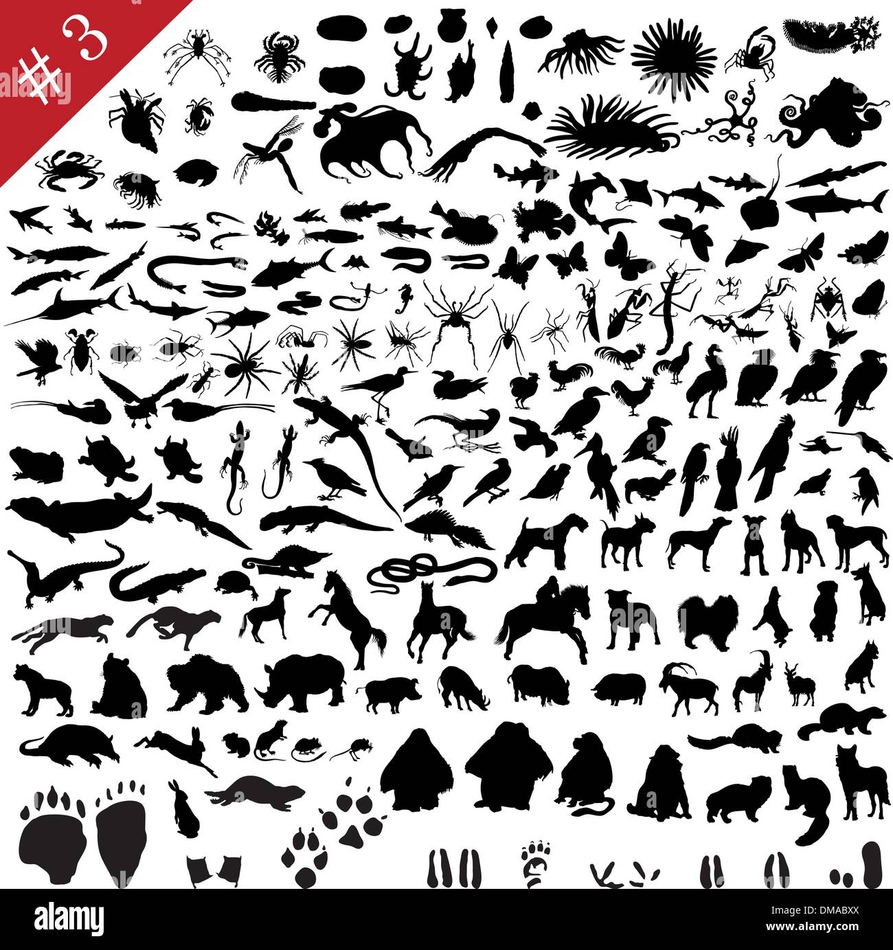 set of animal silhouettes Stock Vector Image & Art - Alamy