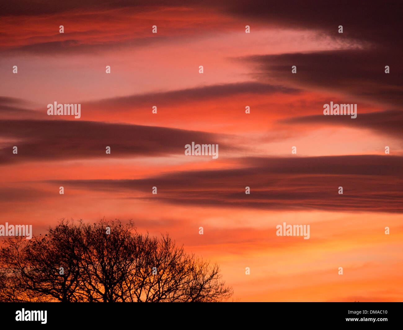 Sunset over trees and house roof Stock Photo - Alamy