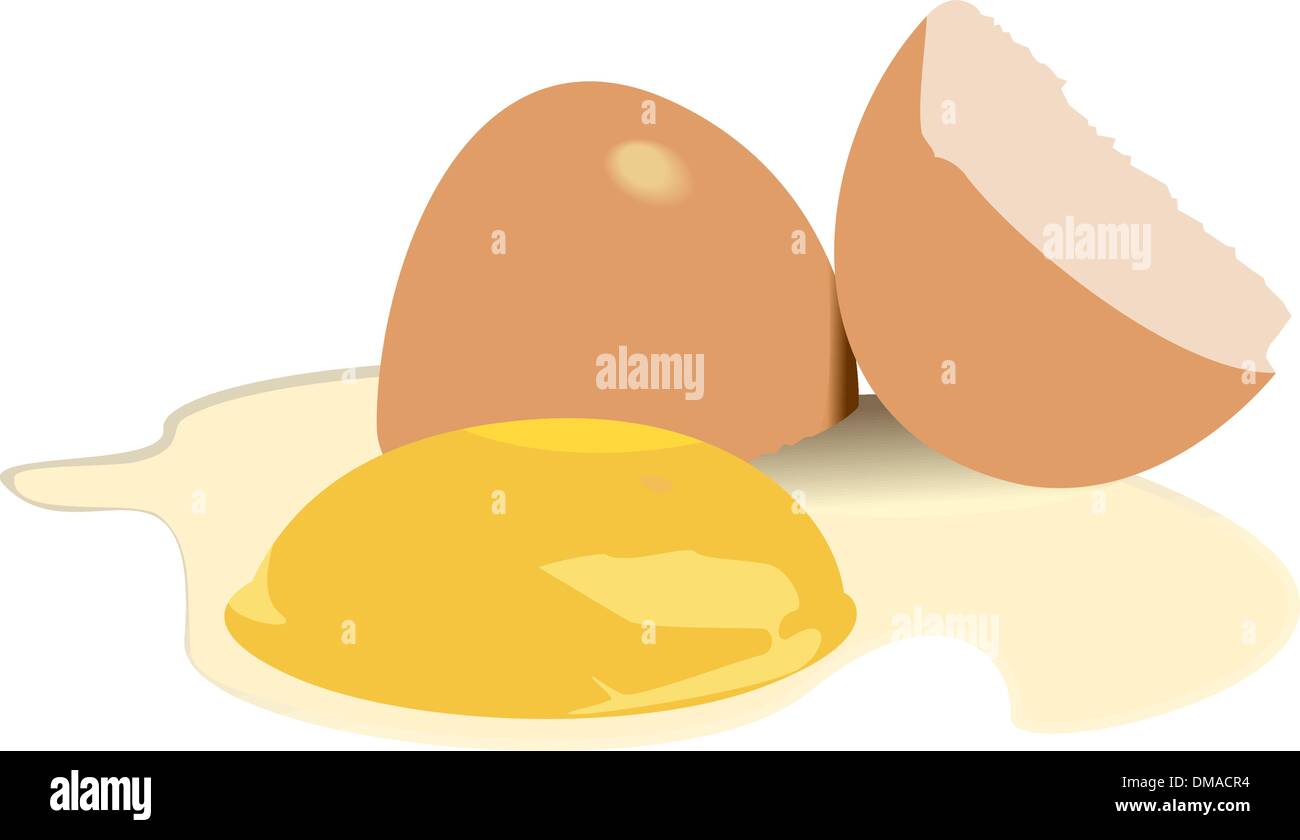 Empty broken chicken egg Stock Vector Images - Alamy