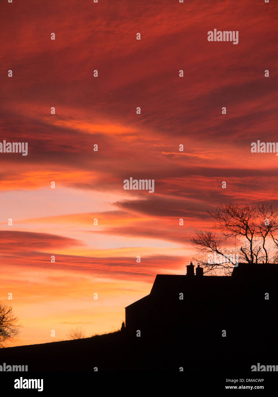 Sunset over trees and house roof Stock Photo - Alamy