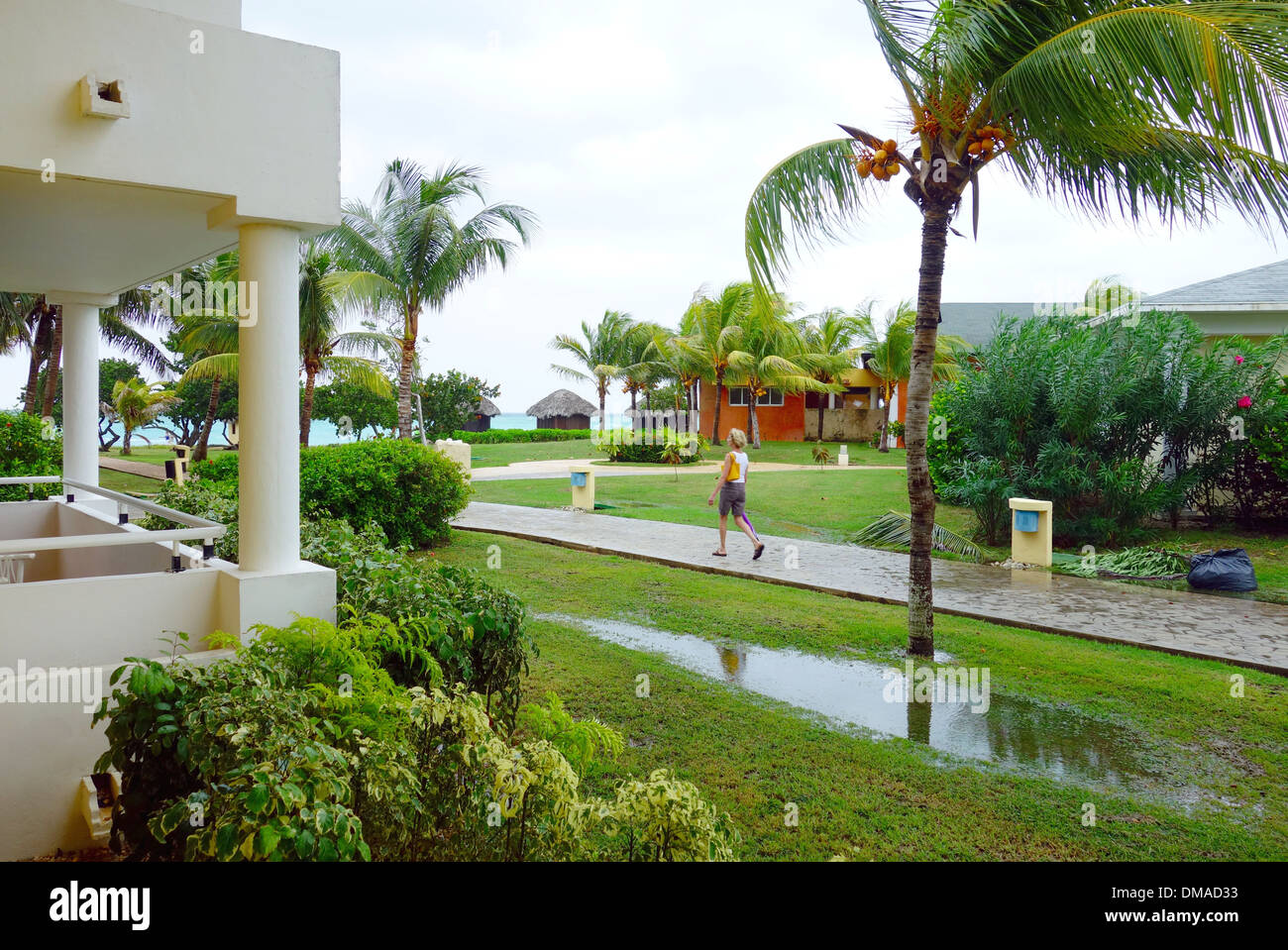 Rainy rain hi-res stock photography and images - Alamy