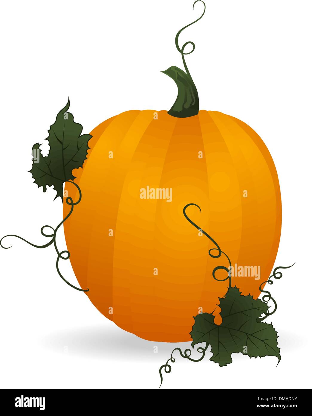 Ripe orange pumpkin flower Stock Vector Images - Alamy
