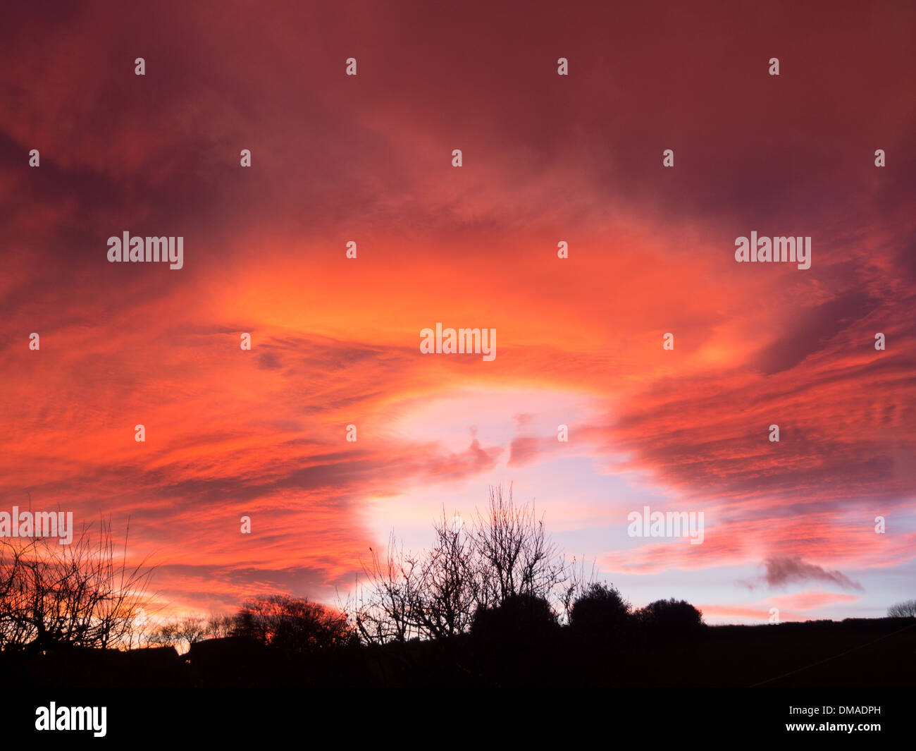 Sunset over trees and house roof Stock Photo - Alamy