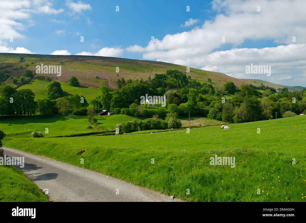 Uk rural landscape with road hi-res stock photography and images - Alamy