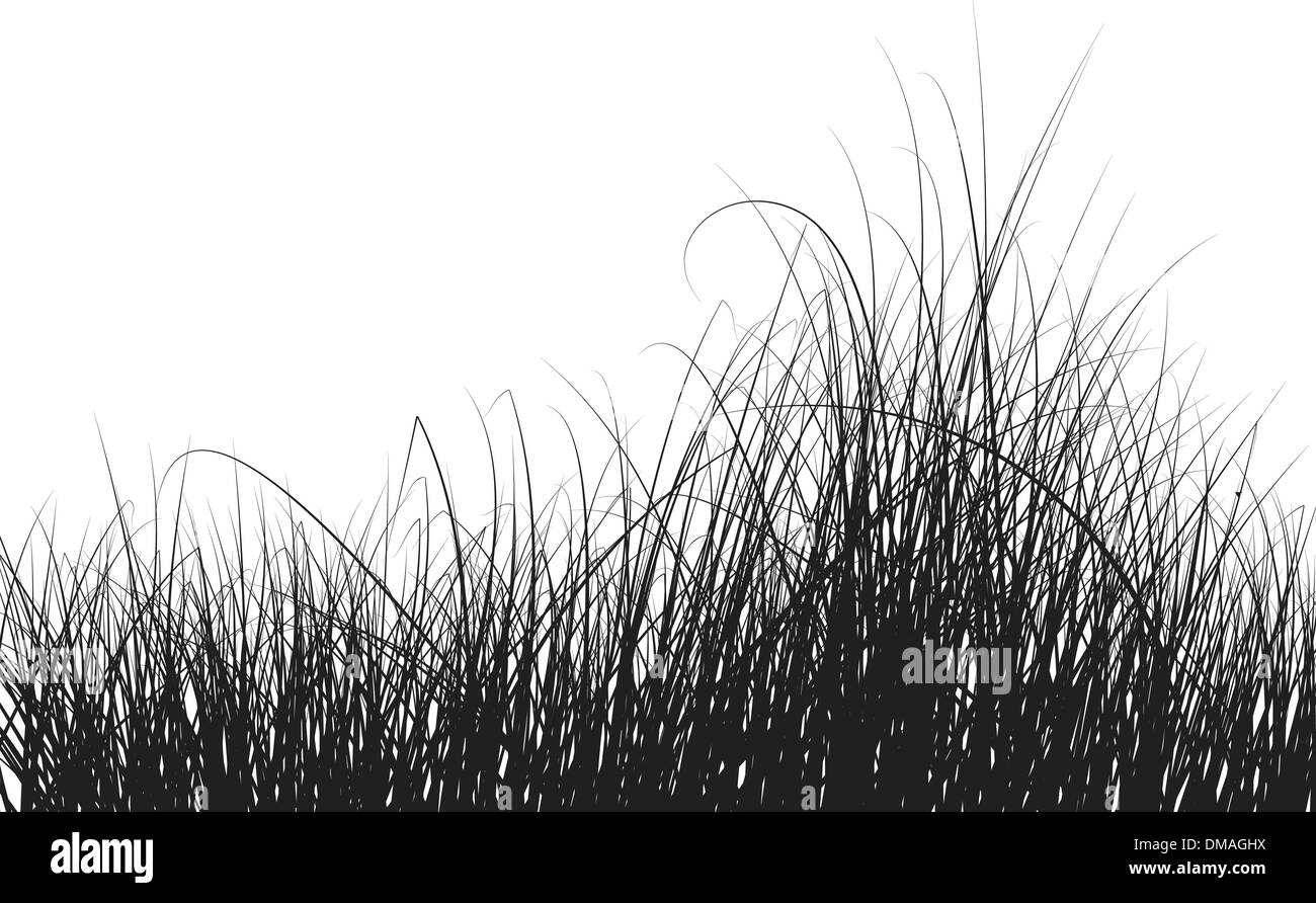 Grass background Black and White Stock Photos & Images - Alamy