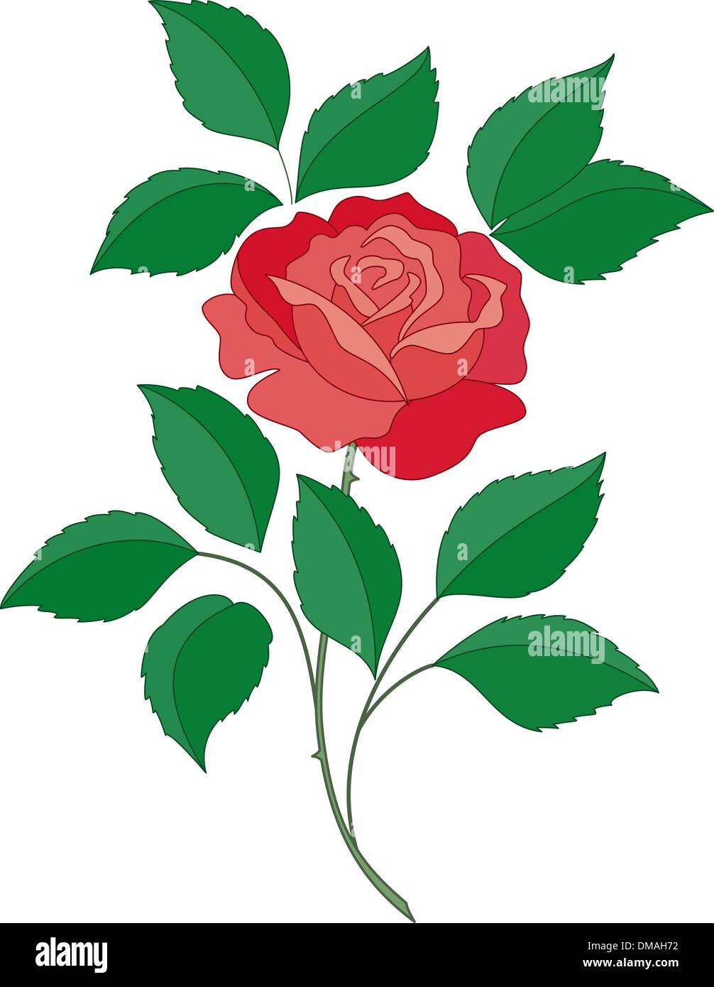 Image of red rose stem with leaves Stock Vector Images - Alamy
