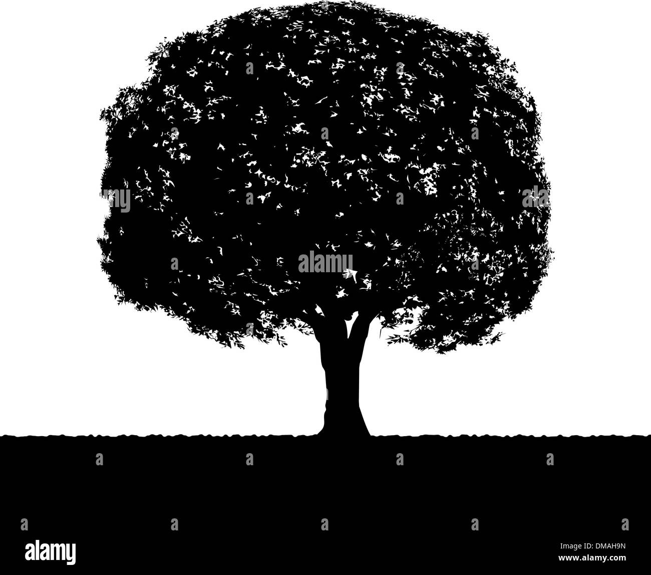 Vector multicolor background Black and White Stock Photos & Images - Alamy