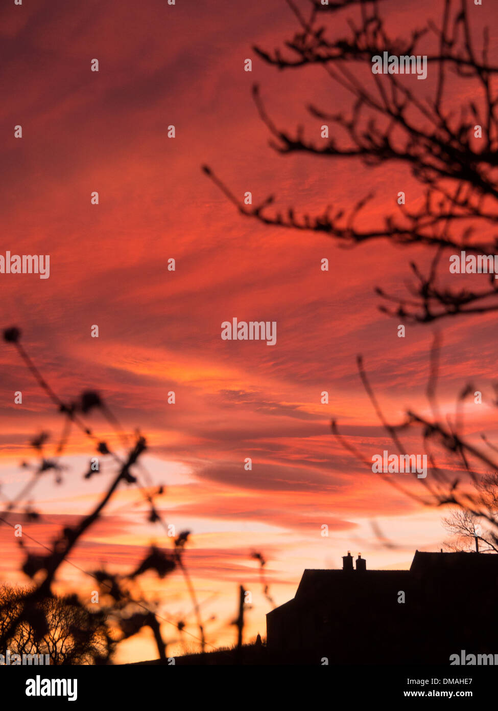 Sunset over trees and house roof Stock Photo - Alamy