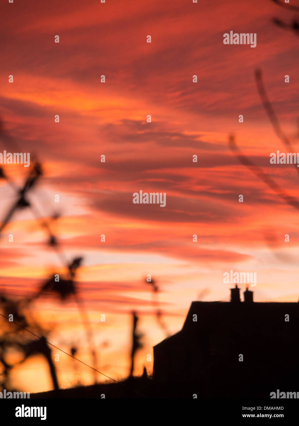 Sunset over trees and house roof Stock Photo - Alamy