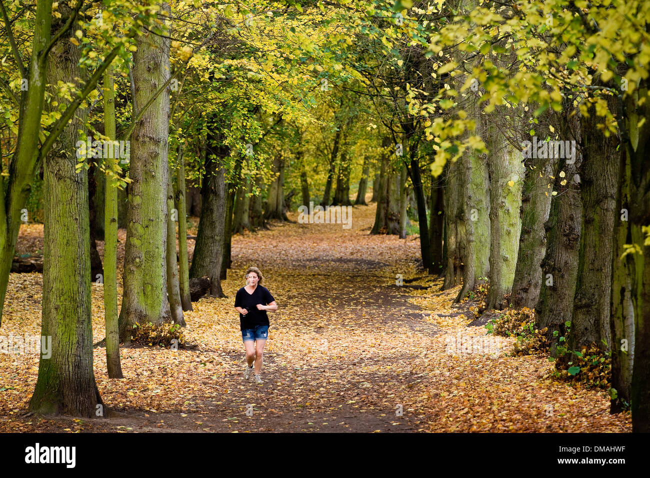 Hampstead heath autumn hi-res stock photography and images - Alamy