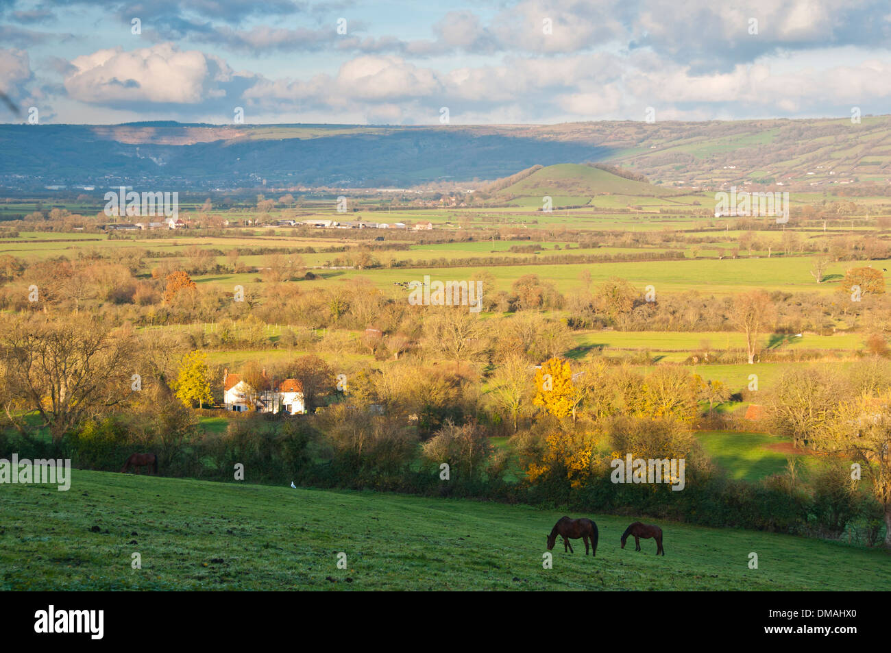 Pawsture hi-res stock photography and images - Alamy