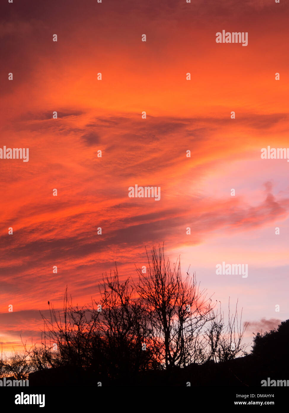 Sunset over trees and house roof Stock Photo - Alamy