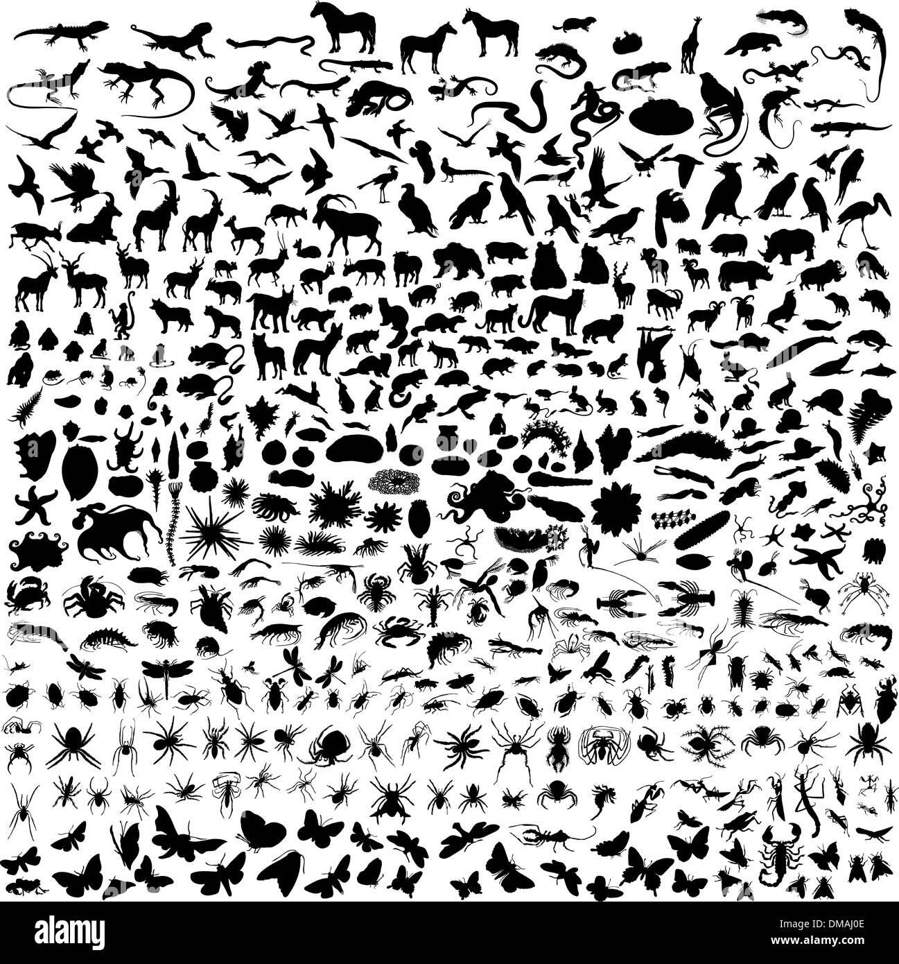 Vector illustration different farm animals hi-res stock photography and ...