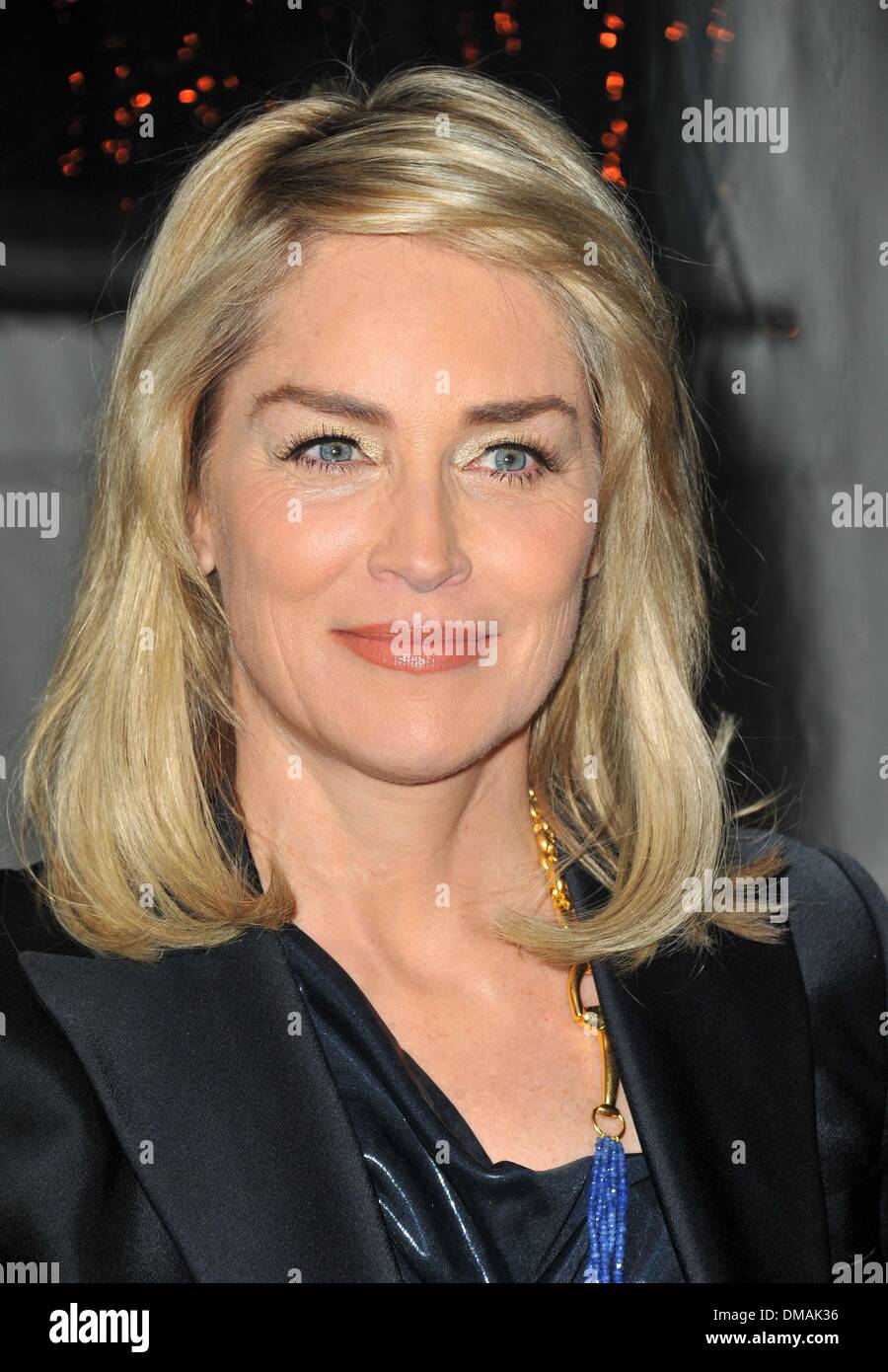 Los Angeles, CA, USA. 12th Dec, 2013. Sharon Stone at arrivals for ...