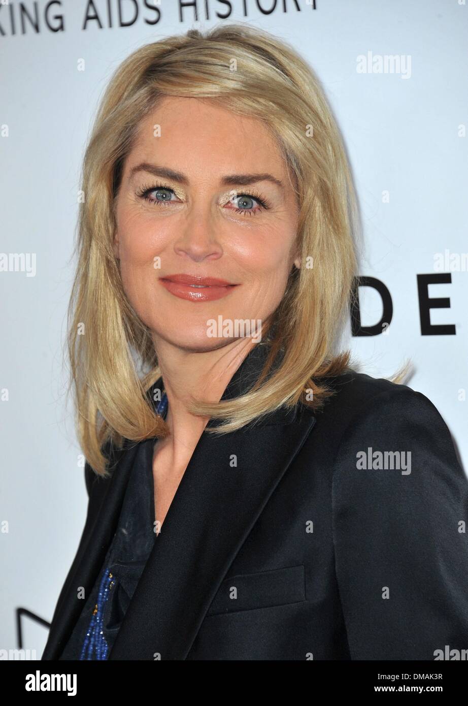 Los Angeles, CA, USA. 12th Dec, 2013. Sharon Stone at arrivals for ...