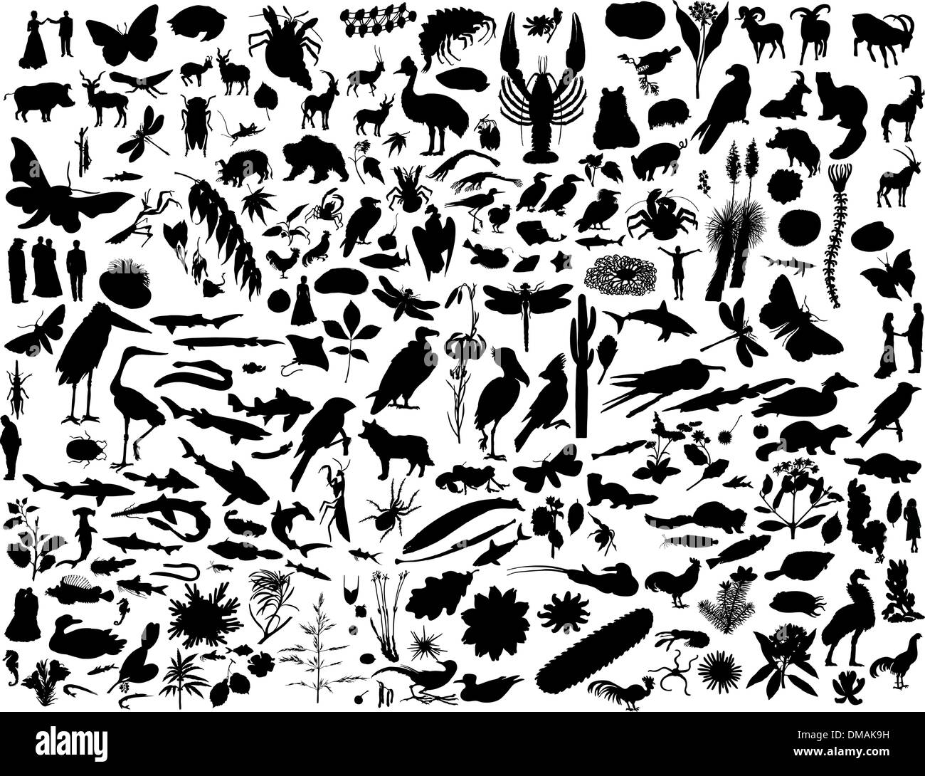 Animal collage Black and White Stock Photos & Images - Alamy