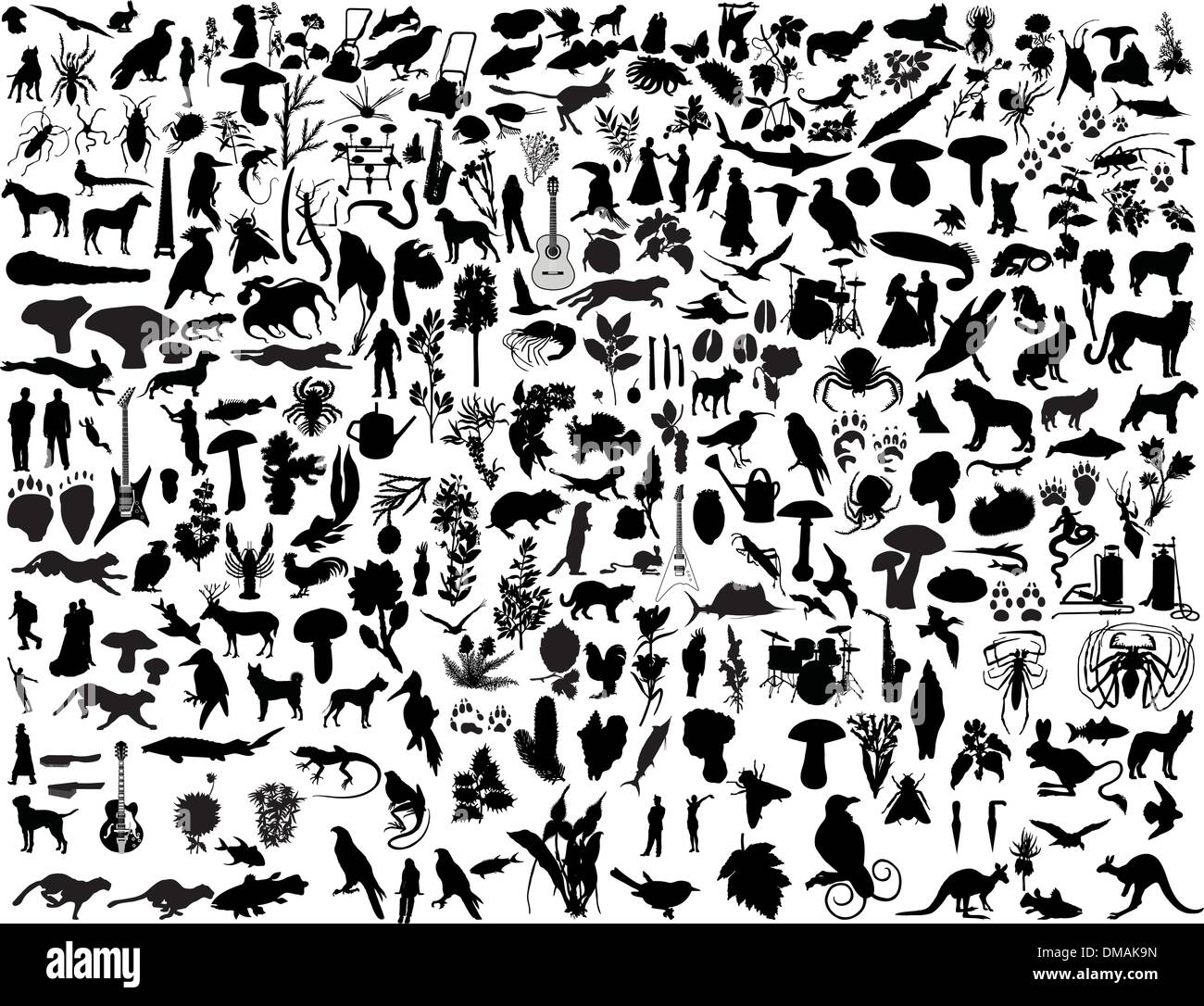 Animal collage Black and White Stock Photos & Images - Alamy