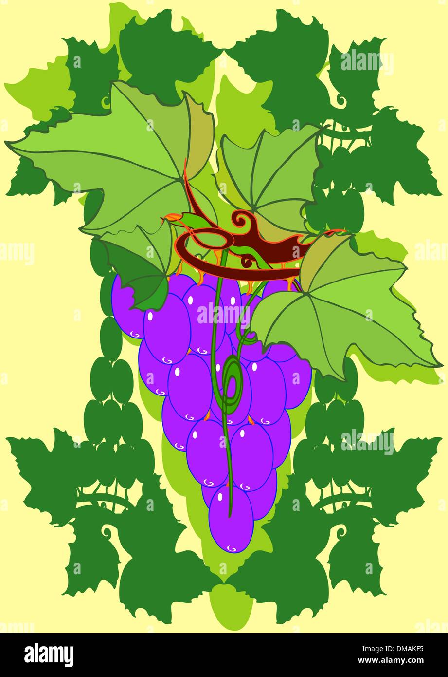 Green grapevine branches Stock Vector Images - Alamy