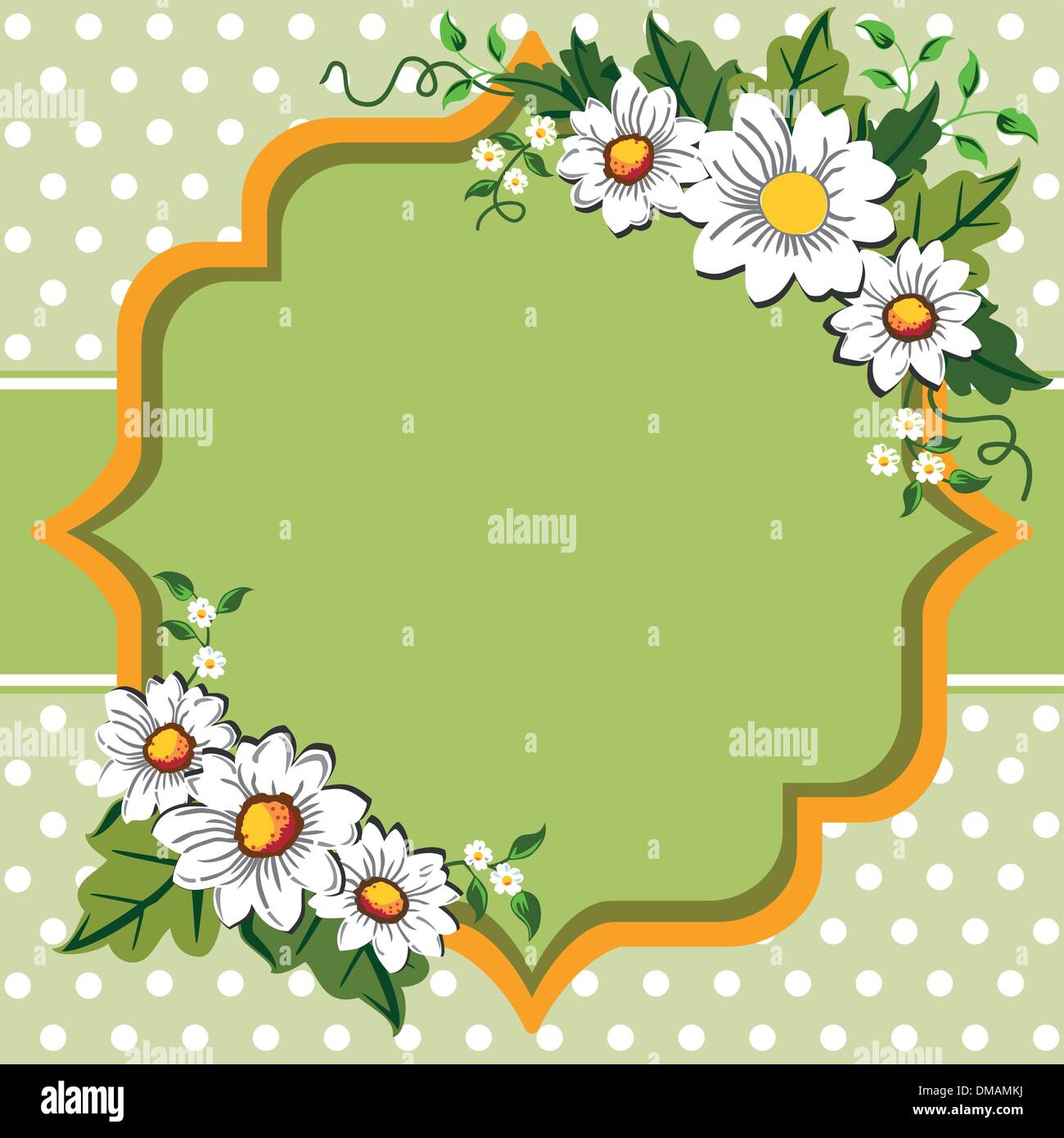 White margarites hi-res stock photography and images - Alamy