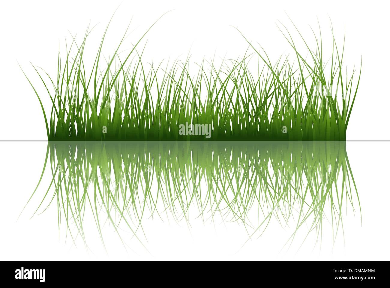 grass on water Stock Vector Image & Art - Alamy